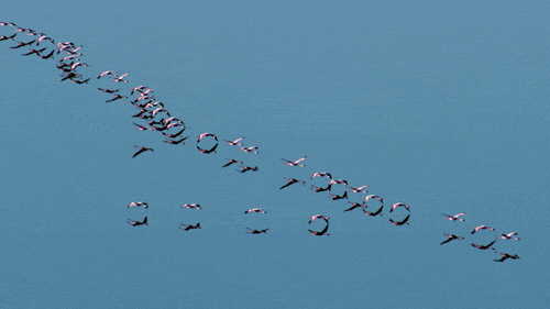 Application Migration: Definition, types and best practices |Qulix